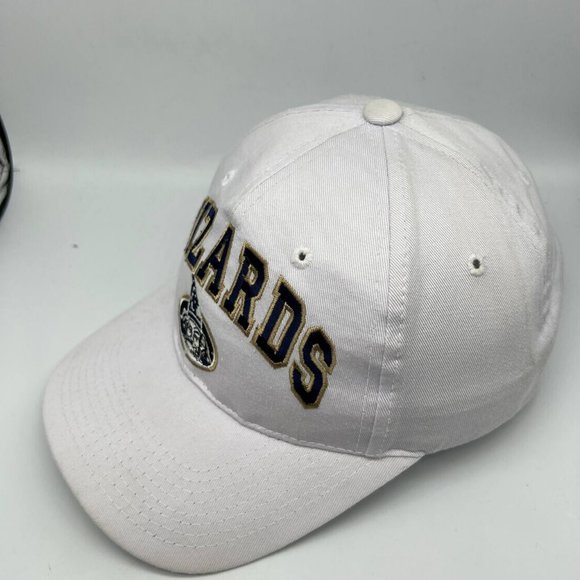 Zephyr | Accessories | Vintage Fort Wayne Wizards Mlb Zephyr Hat ...